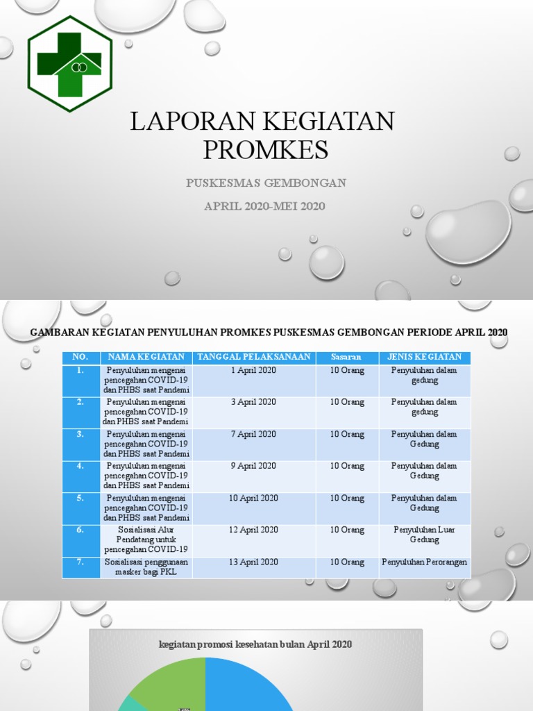 Laporan Kegiatan Promkes | PDF | Pengembangan Diri | Kesehatan Holistik
