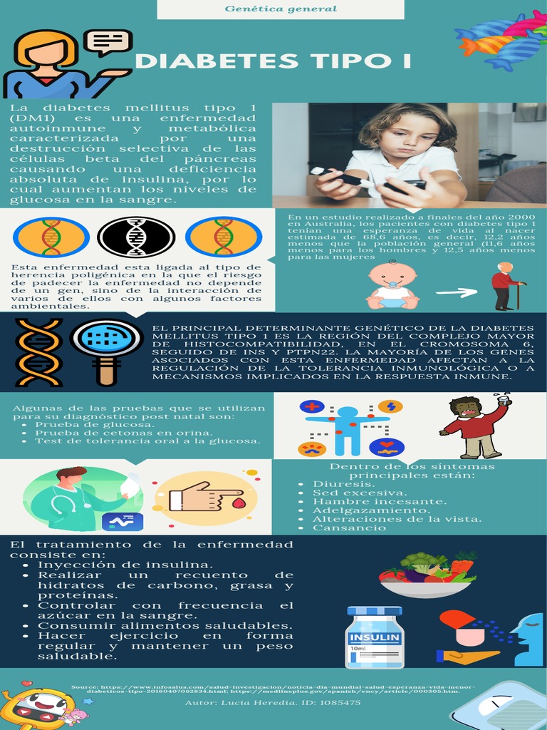 Diabetes Tipo I Infografia, Lucia Heredia. | PDF