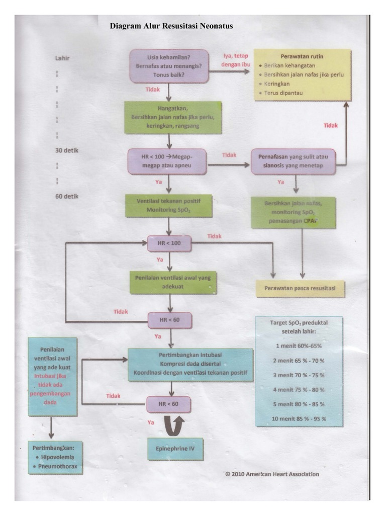 Diagram Alur Resusitasi Neonatus | PDF
