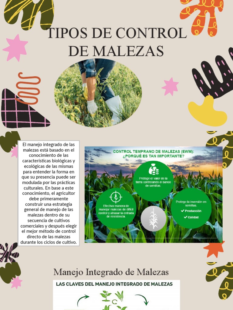 Tipos de Control Maleza | Descargar gratis PDF | Hierba | Agricultura