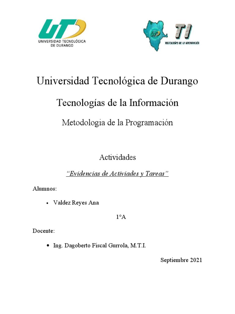 Ejemplo Actividades Tareas | PDF