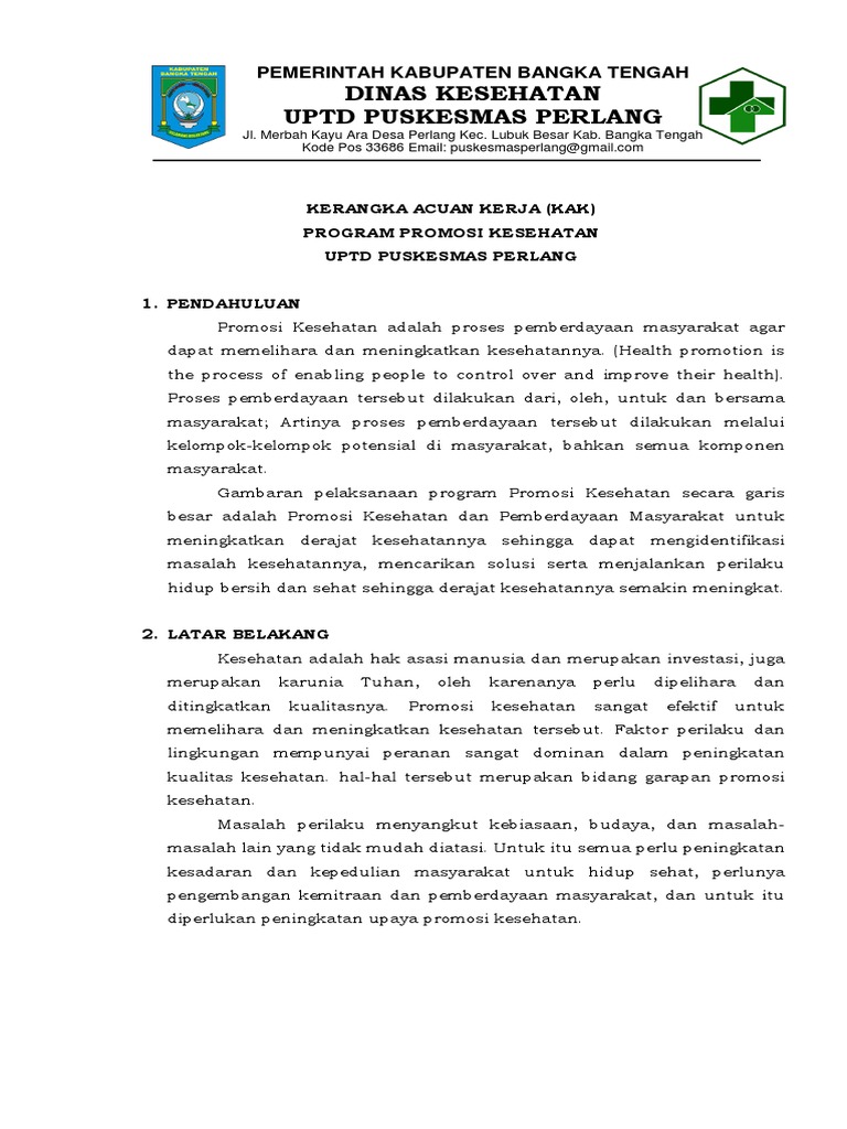 Promosi Kesehatan Puskesmas | PDF | Pengembangan Diri