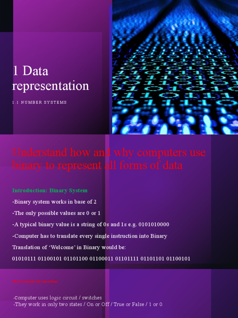 1 Data Representation | Download Free PDF | Decimal | Computer Engineering