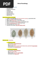 Trematodes Overview and Hosts | PDF | Parasitology