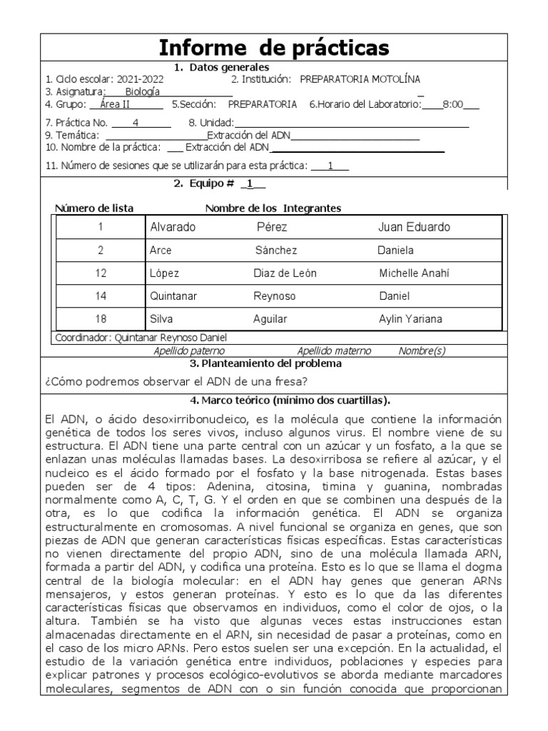 Informe Prac. 4 | PDF | Adn | Rna