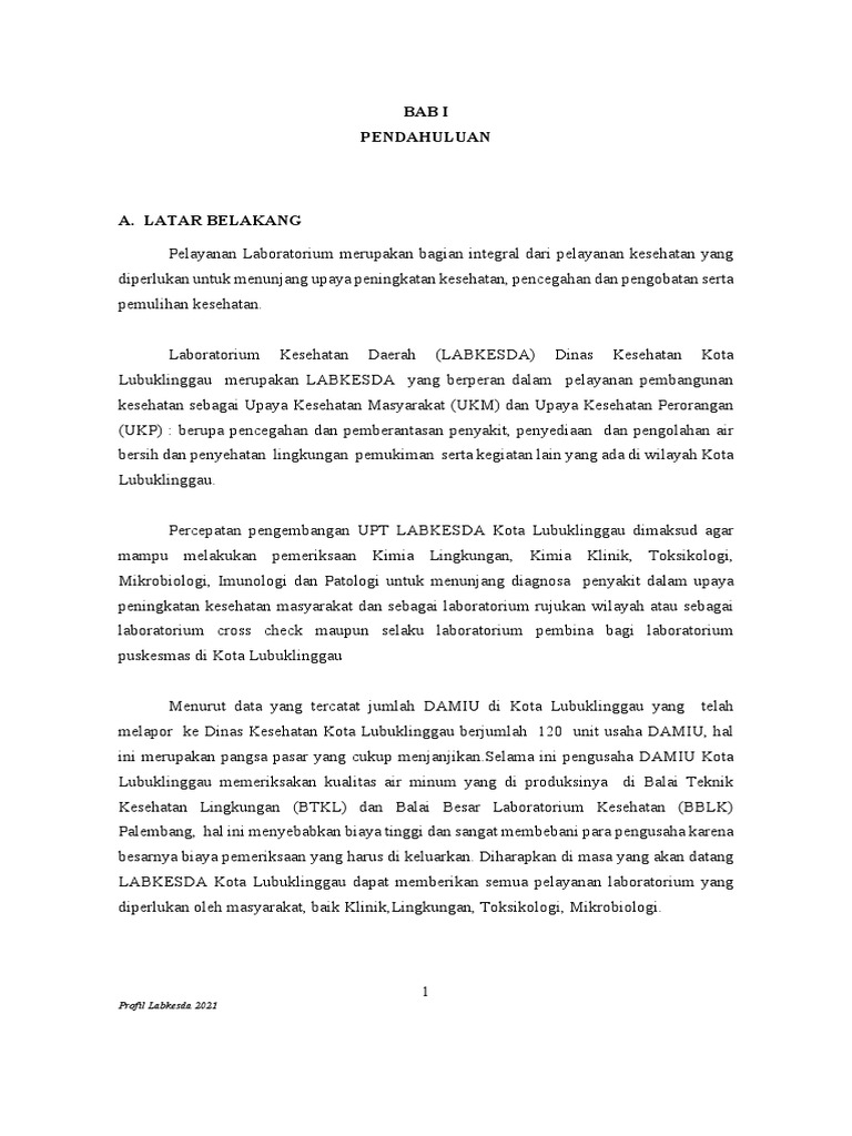 Profil 2021 Labkesda | PDF