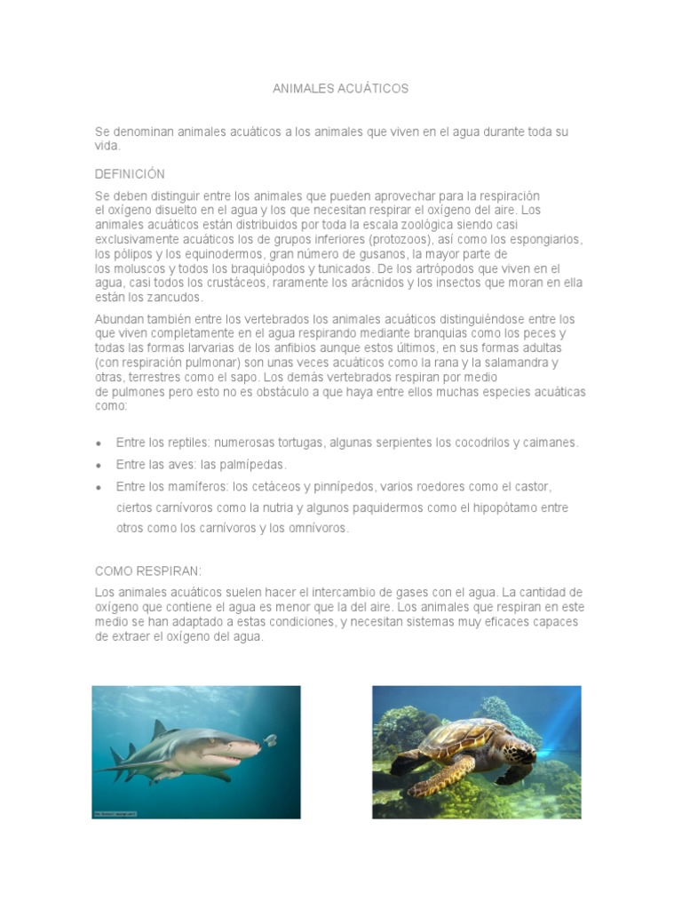 Definición de Animales Acuáticos | PDF | Ciencias sociales | Hogar ...