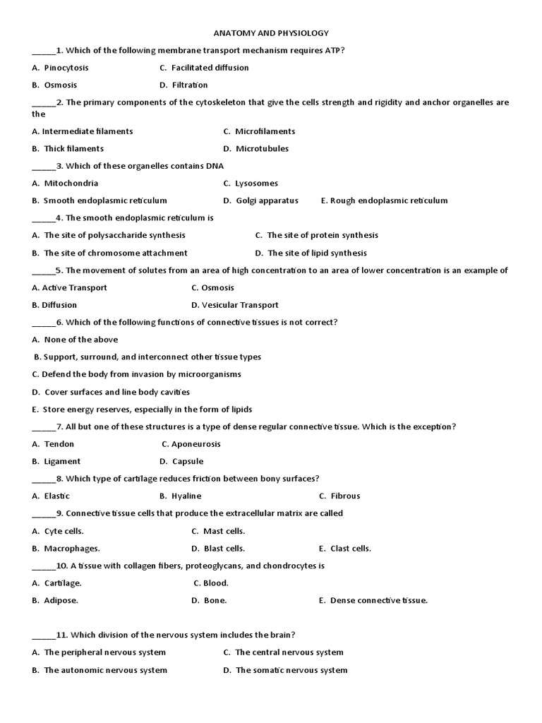 Anatomy Quiz for Medical Students | PDF | Bone | Connective Tissue