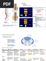 Ascending and Descending Tracts | PDF | Spinal Cord | Central Nervous System