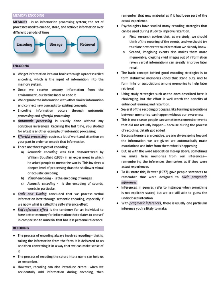 Memory Encoding | PDF | Memory | Recall (Memory)