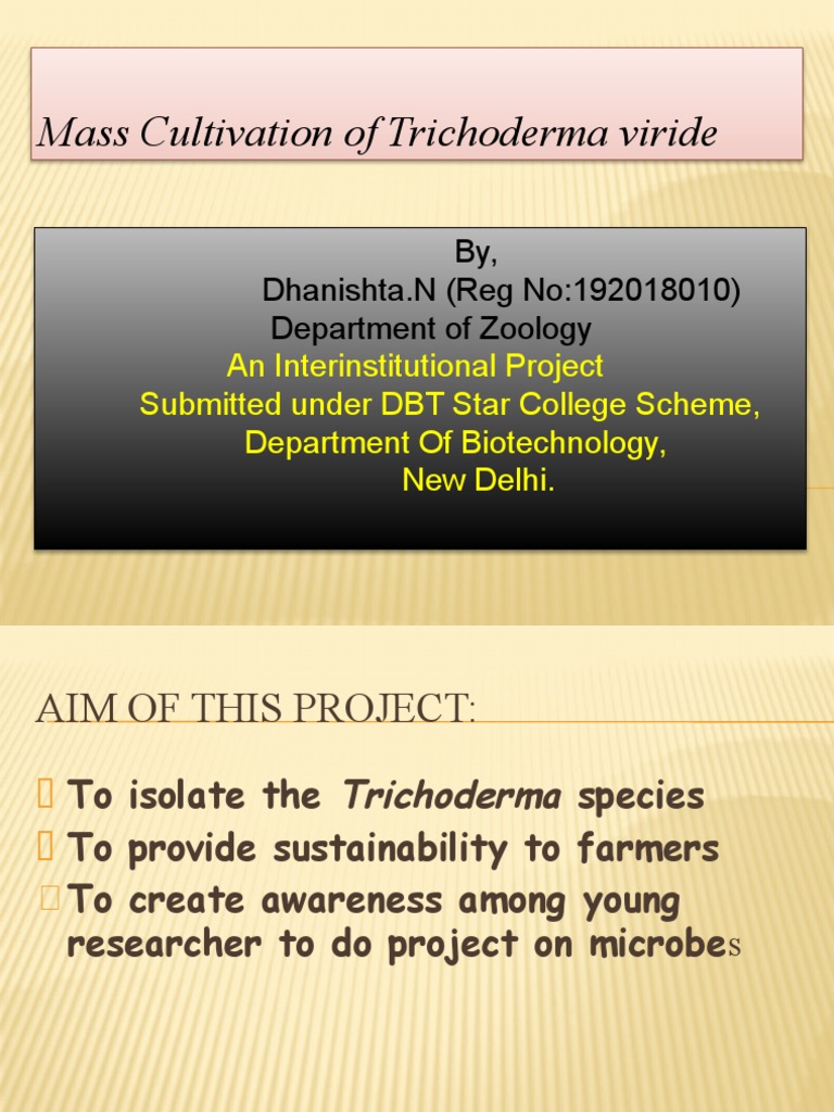 Mass Cultivation of Trichoderma Viride | PDF | Fungicide | Fungus