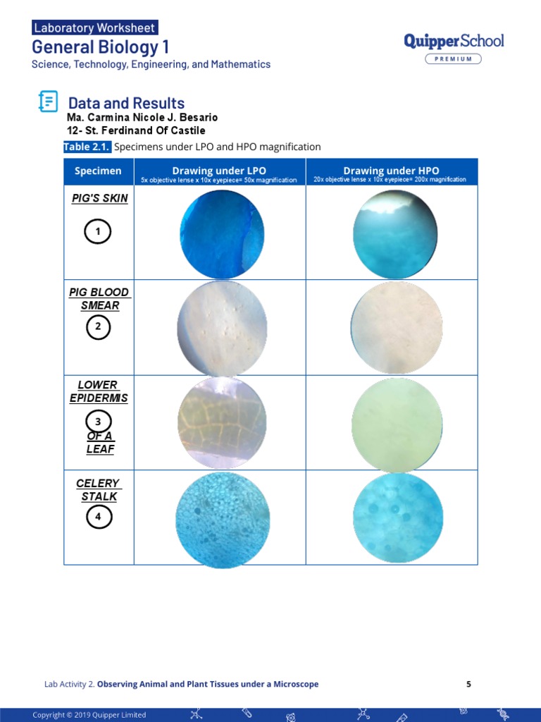 Unit-2-Experiment-1 (1) (1) (1) (1) (2)-5-7 (1) | PDF | Tissue (Biology ...