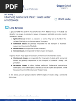 Class 9 Science Lab Manual | PDF | Tissue (Biology) | Mixture