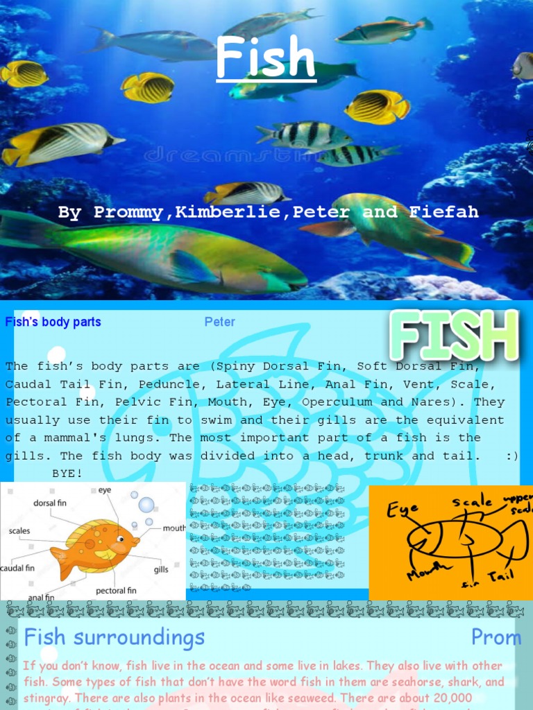 Fish | PDF | Fish | Zoology