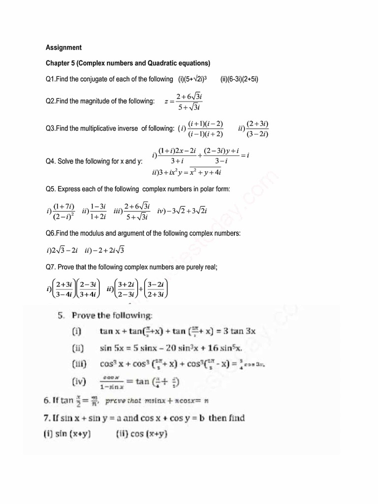 CBSE Class XI Assignment | PDF