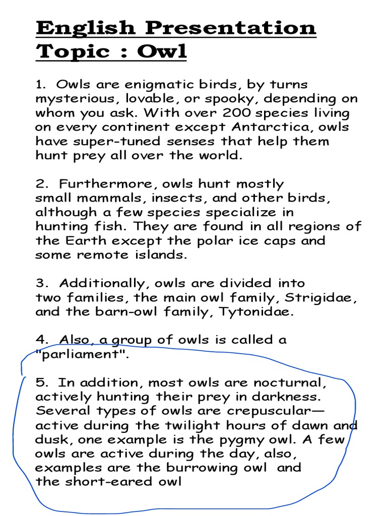 An In-Depth Exploration of the Fascinating World of Owls: From Their ...