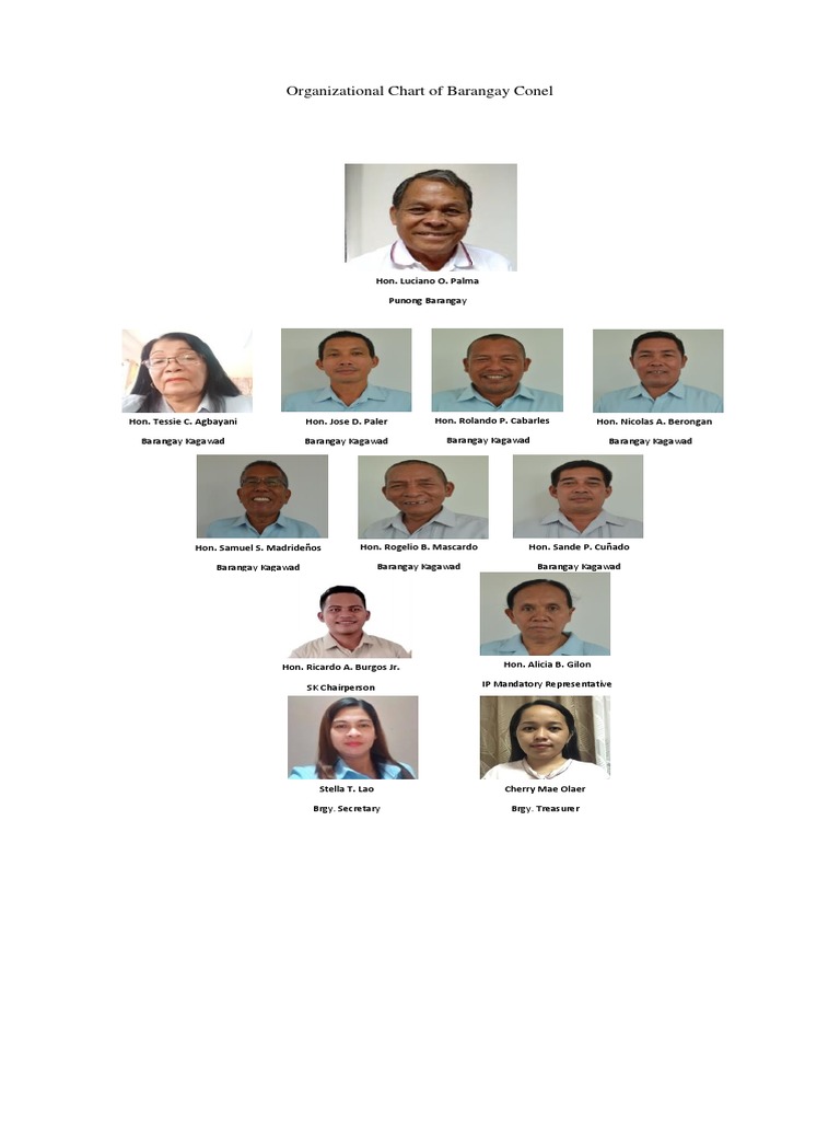 Organizational - Chart of Barangay Conel | PDF | Human Impact On The ...