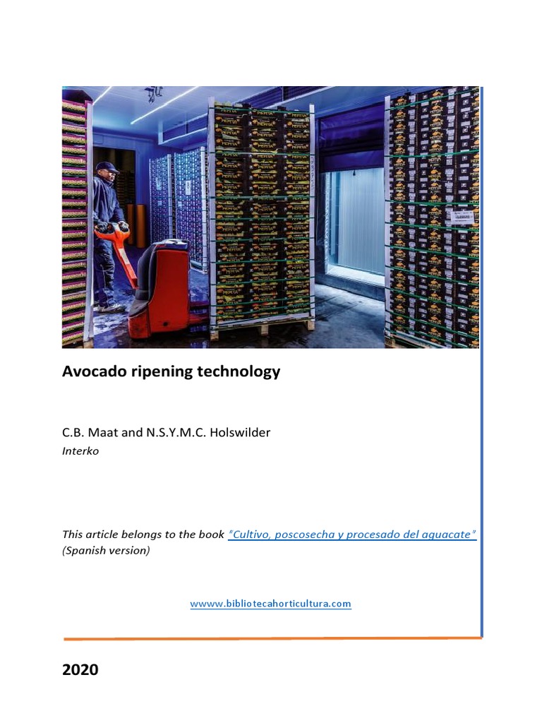 Avocado Ripening Technology | PDF | Chemical Reactions | Carbohydrates