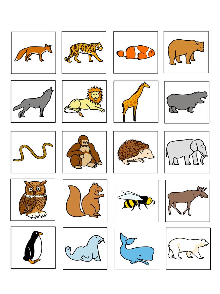 Pictos Animales Imprimir | PDF