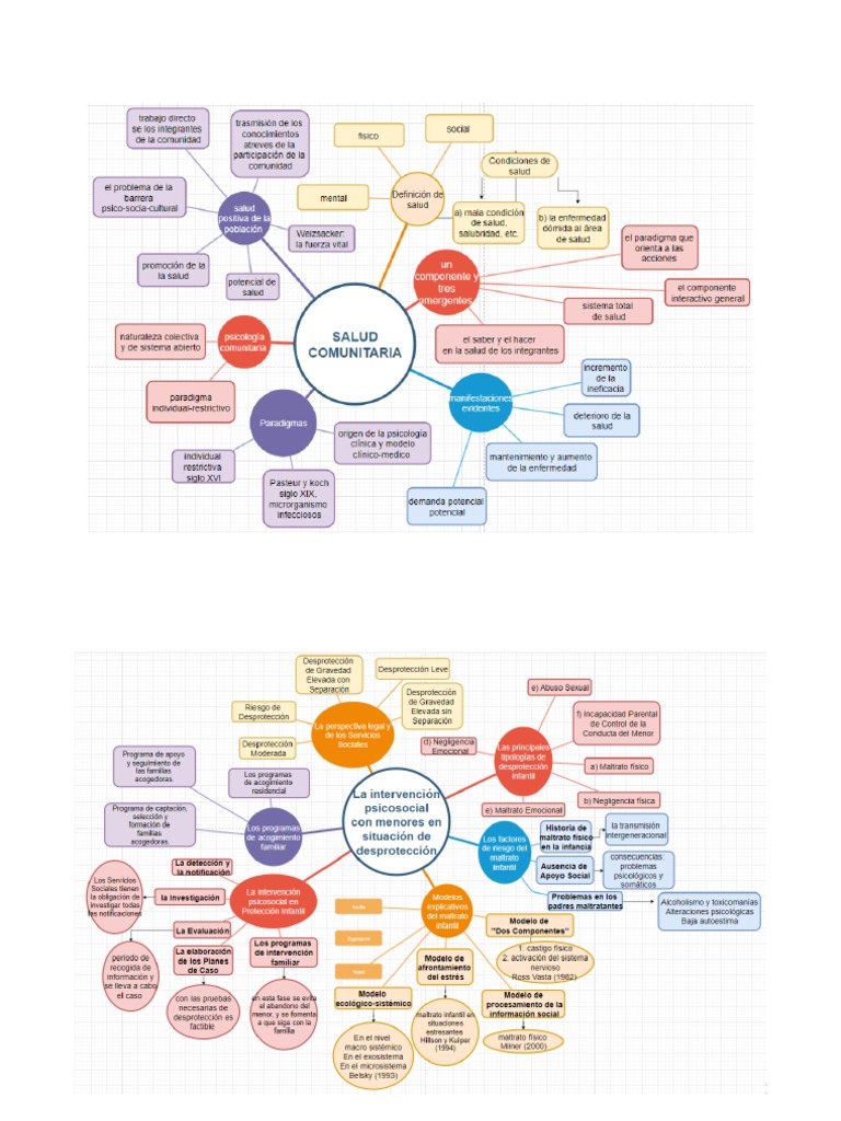 Organizadores Graficos | PDF