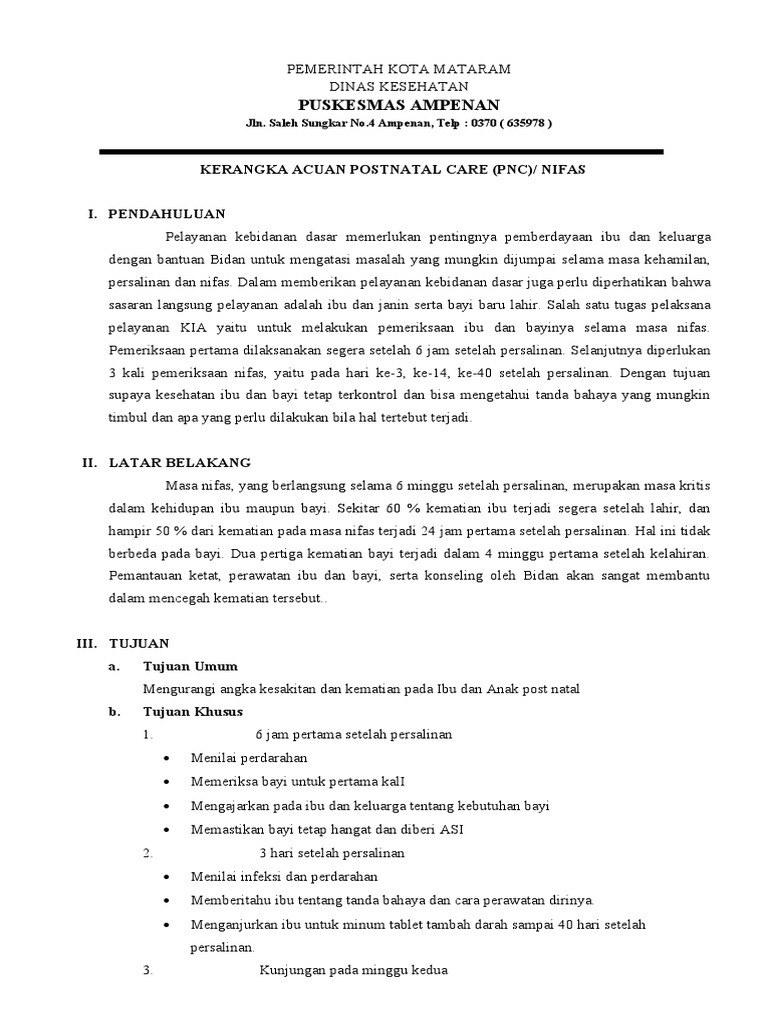 Kak Postnatal Care (PNC) Nifas | PDF