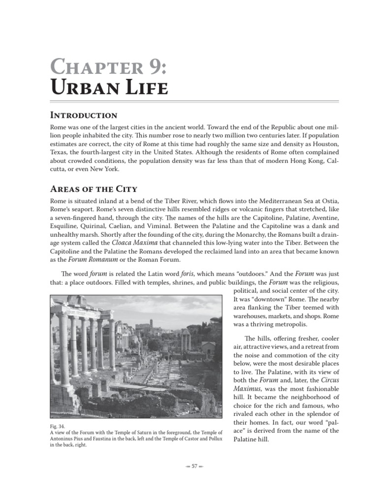 Chapter 9 Urban Life | PDF