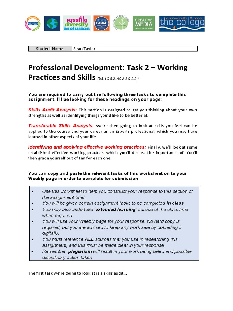 Professional Development Sheet 2 | PDF