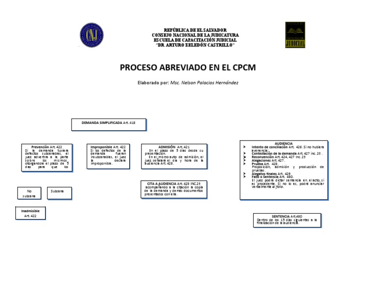 Esquema Del Proceso Abreviado | PDF | Ley constitucional | Procedimiento legal