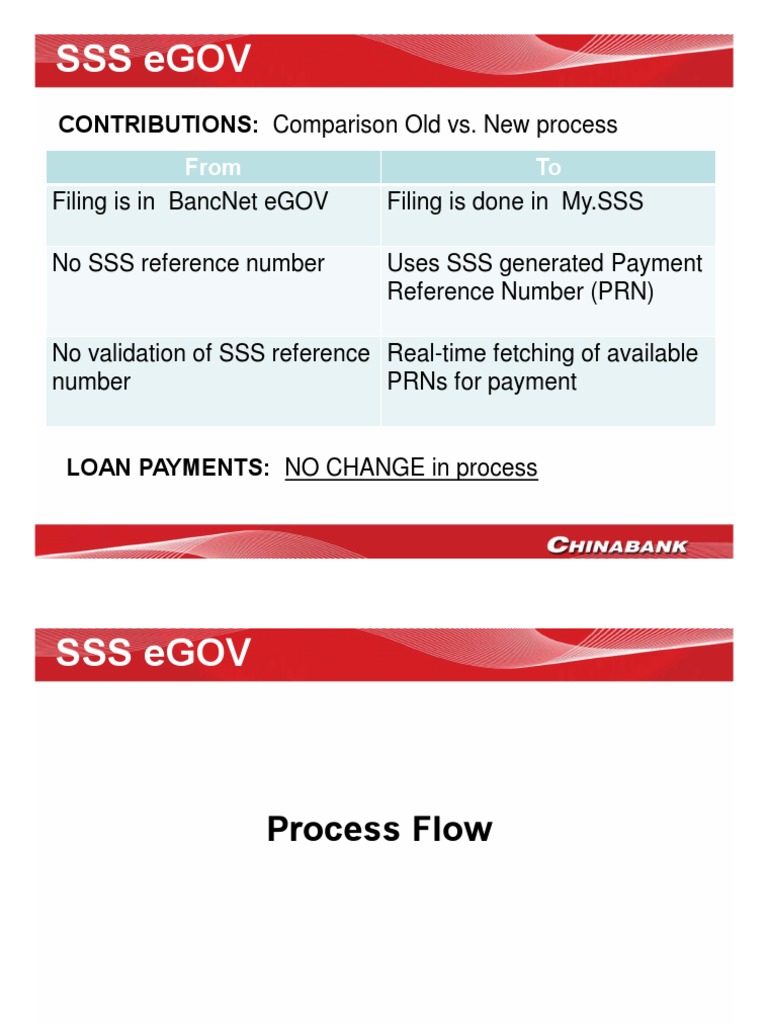 SSS EGOV PRN FEB 2019 Client Guide | PDF