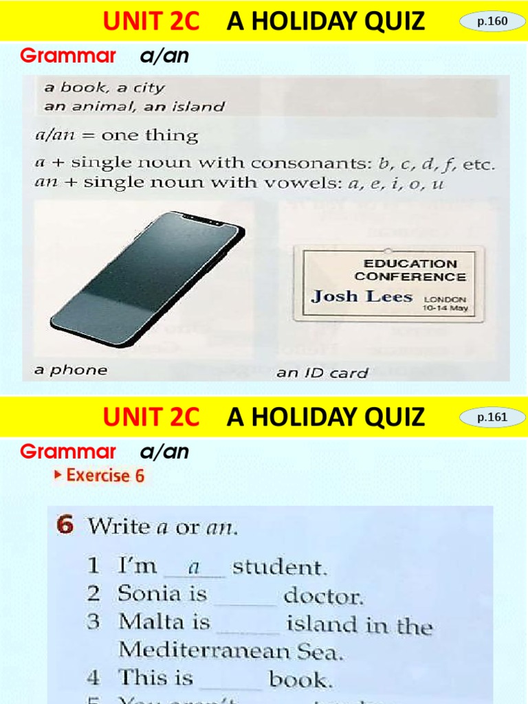 Lesson 2c - A Holiday Quiz - Grammar | PDF