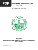 2024 CAPE and CSEC Results Overview | PDF