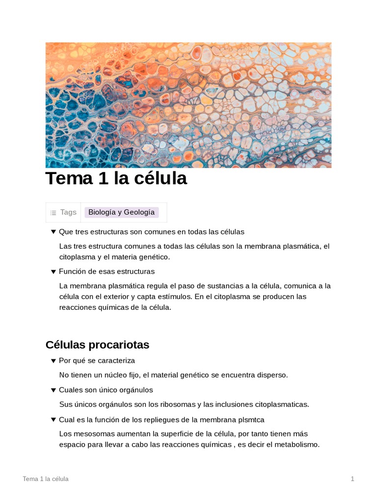 La Celula Biologia 4 Eso | PDF | Biología Celular) | Citoplasma