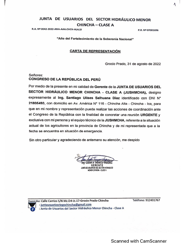 Carta de Representación | PDF