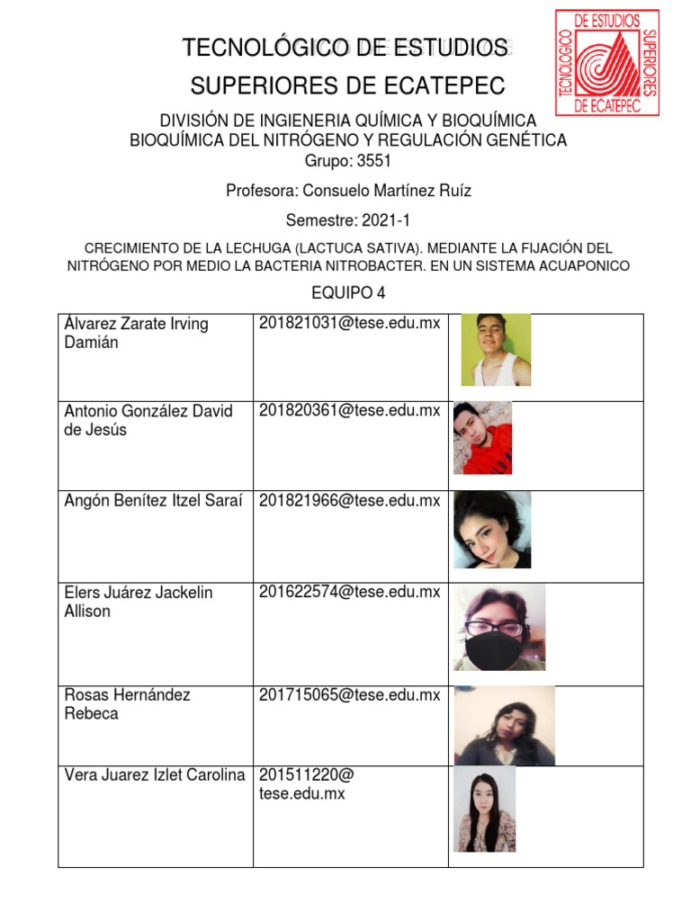 3er Reporte de Practica | PDF | Nitrógeno | Amoníaco