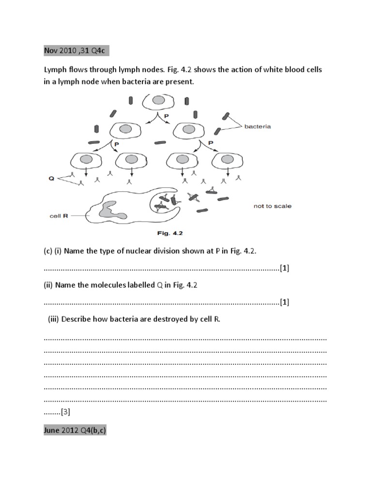 Igcse Disease and Immunity P3,4 | PDF | Pathogen | Blood Type