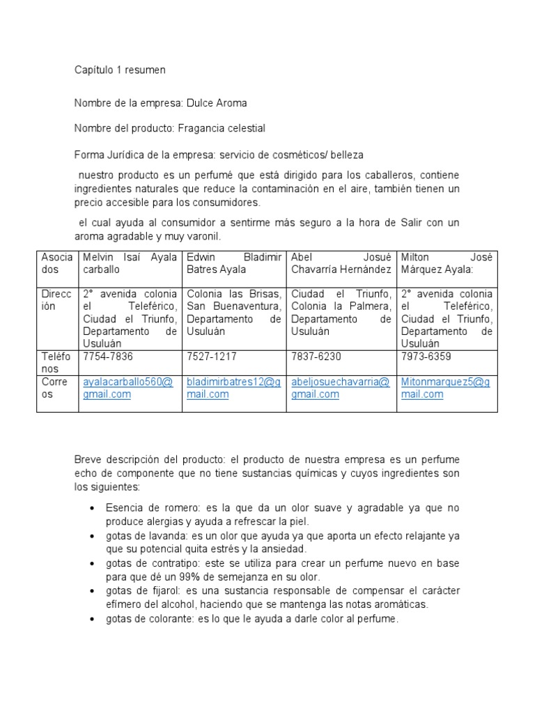 Capitulo 1. El Resumen de La Empresa | Descargar gratis PDF | Business | Publicidad
