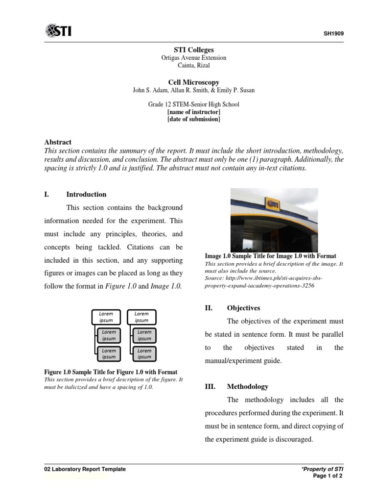 Laboratory Report Template | PDF | Paragraph | Citation