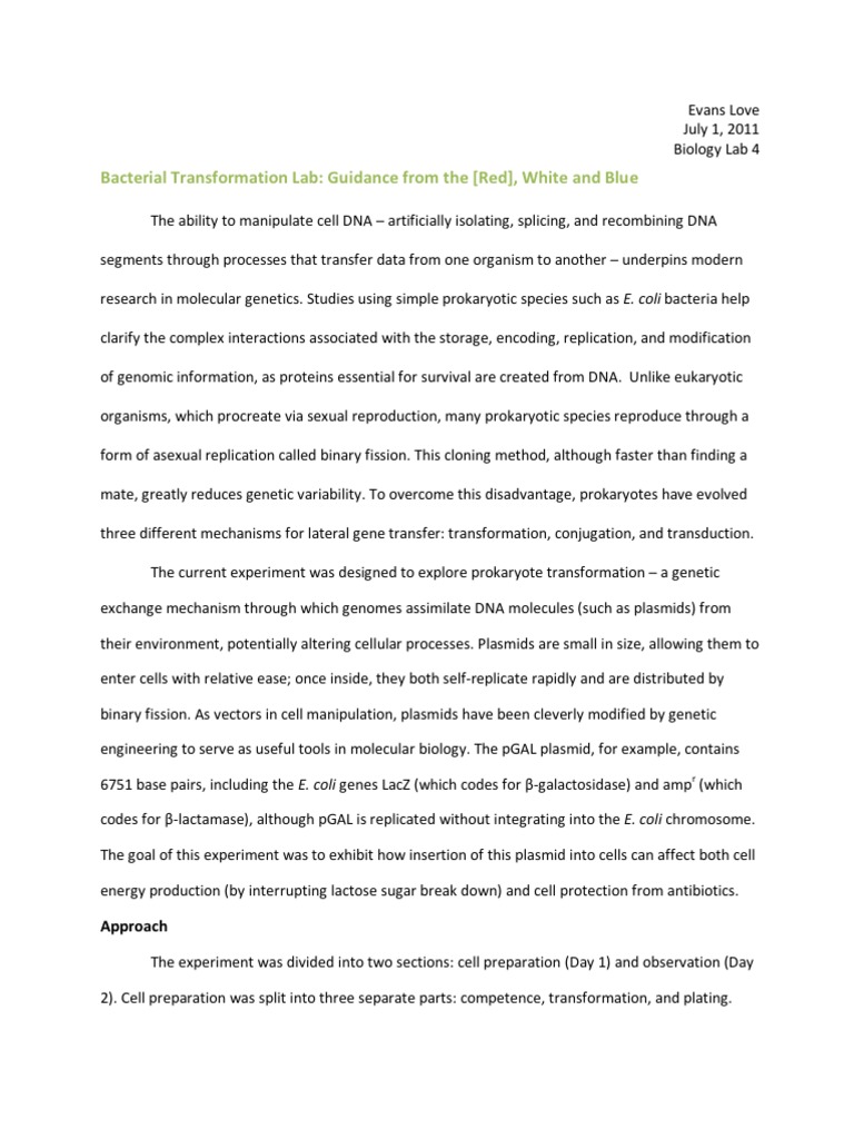 Bacterial Transformation Lab Report | PDF