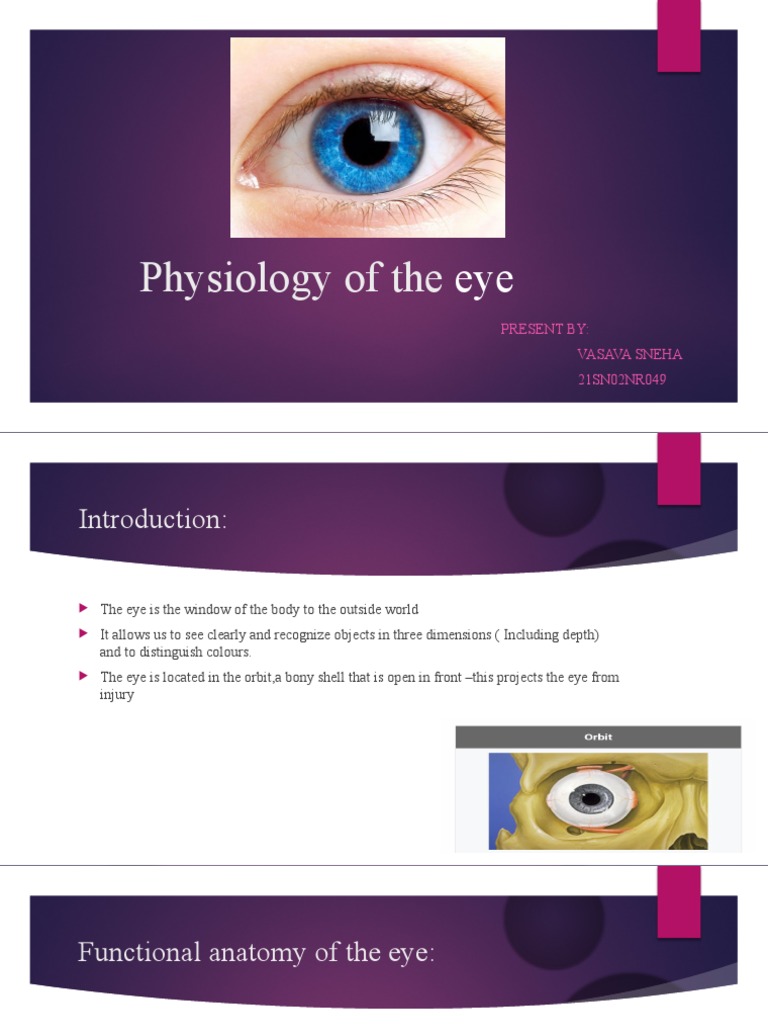 Physiology of Eye | PDF | Human Eye | Eye
