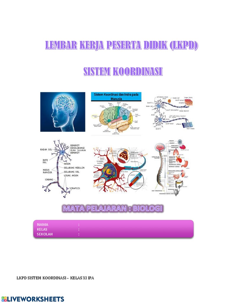 LKPD SISTEM SARAF 1 | PDF