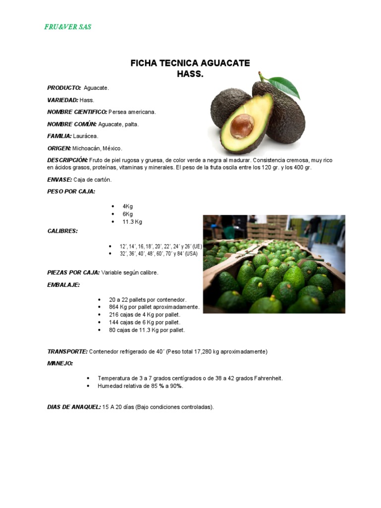 Ficha Tecnica Aguacate Hass | PDF