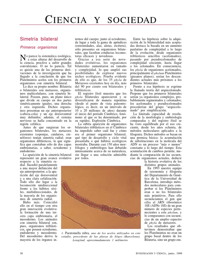 Lectura 2 Origen de Simetría Bilateral | PDF | Biología