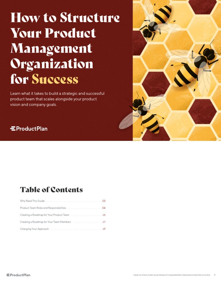 How To Structure Your Product Management Organization For Success | PDF