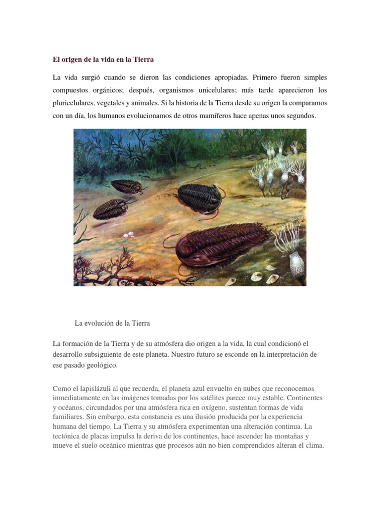 El Origen de La Vida en La Tierra | PDF