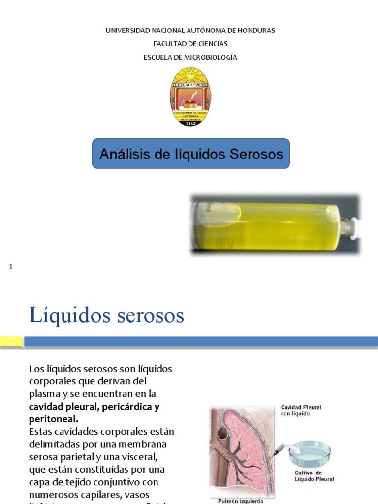 Análisis De Líquidos Serosos Pdf Salud Y Bienestar
