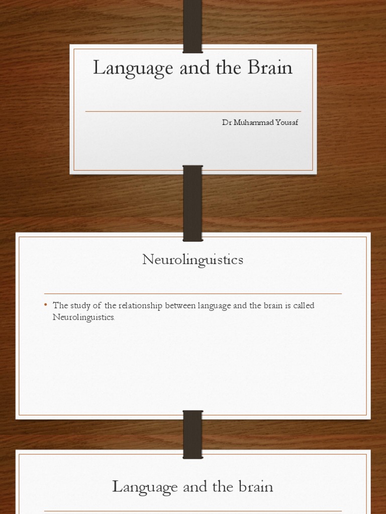 Language and The Brain | PDF