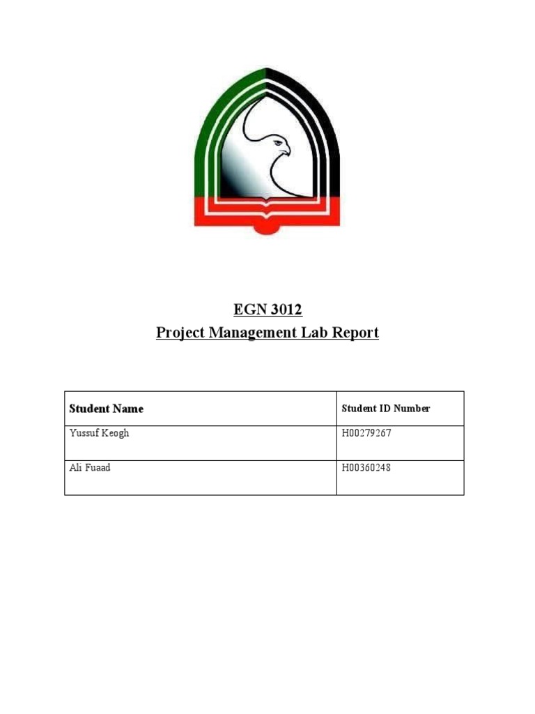 Project 5 | PDF | Software | Business