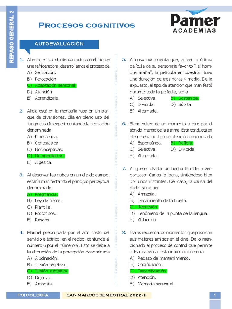 Psicología - Repaso General 2 - Procesos Cognitivos | PDF