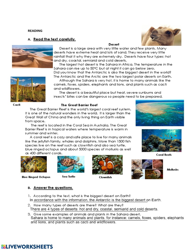 Comparatives and Superlatives | PDF | Desert | Coral Reef