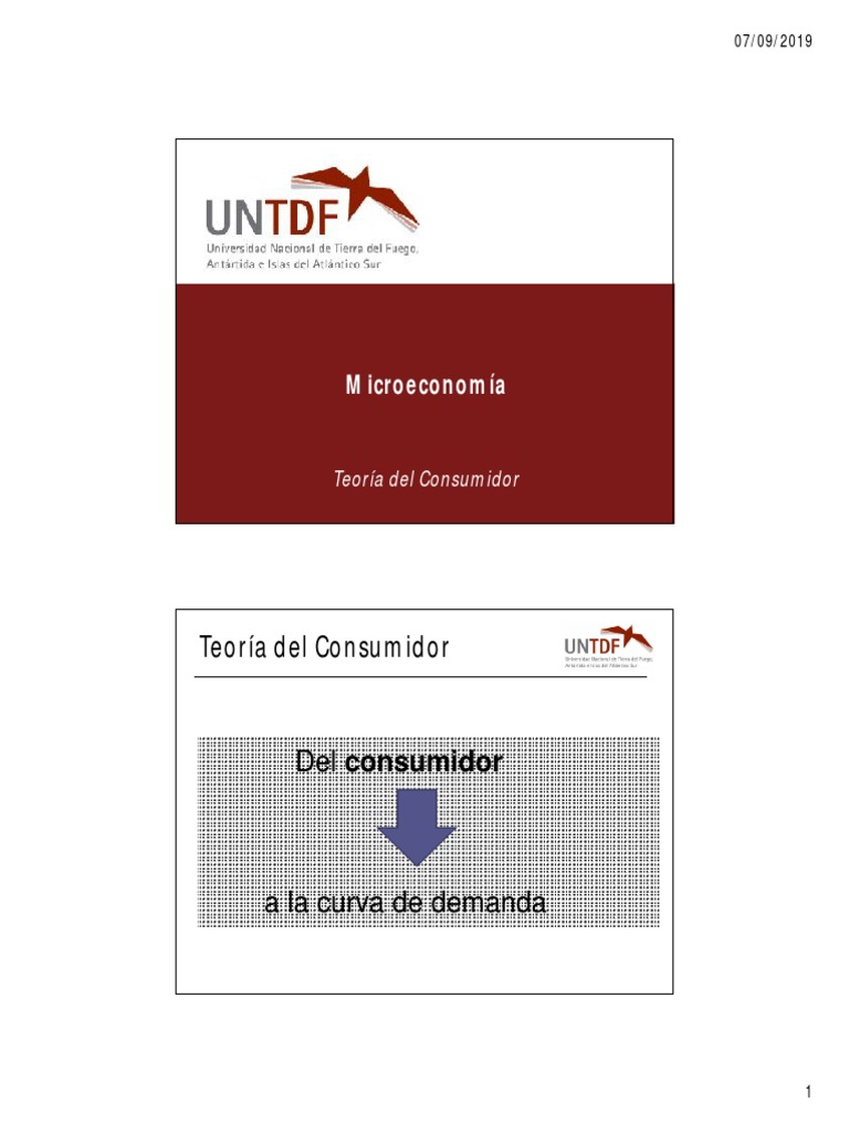 Unidad II - Teoría Del Consumidor | PDF | Utilidad marginal | Utilidad
